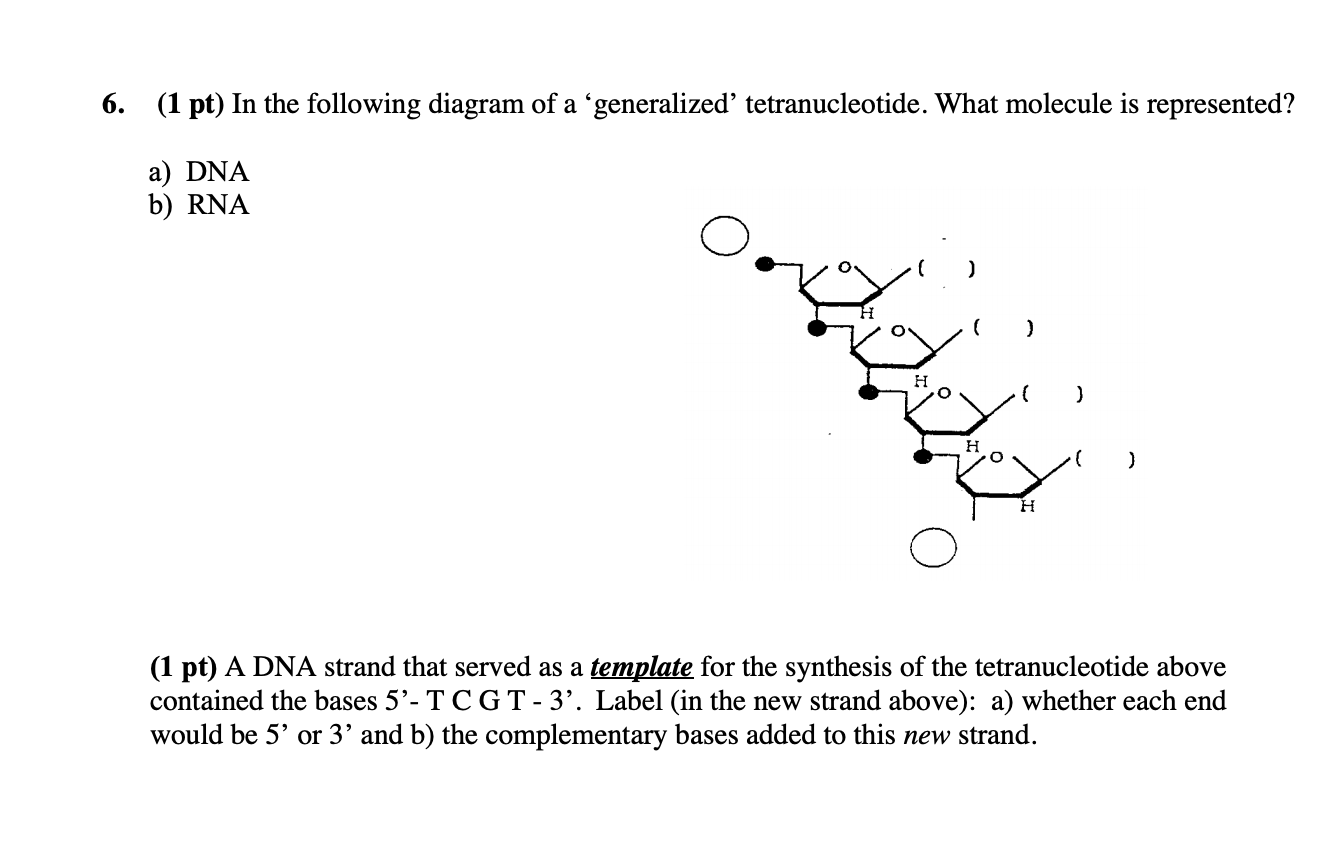 Solved 6. (1 pt) In the following diagram of a “generalized' | Chegg.com