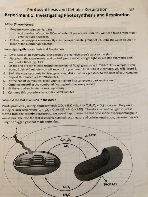 Solved: 85 Photosynthesis And Cellular Respiration Experim... | Chegg.com