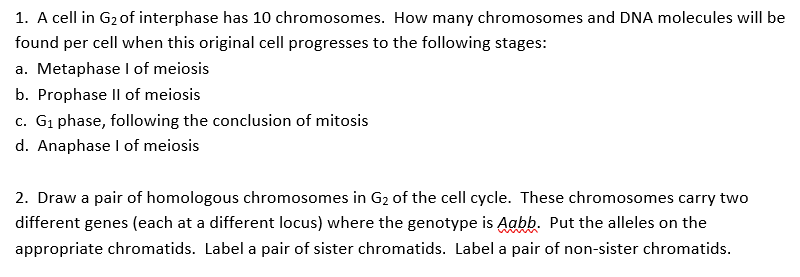 Solved 1. A cell in G2 of interphase has 10 chromosomes. How | Chegg.com
