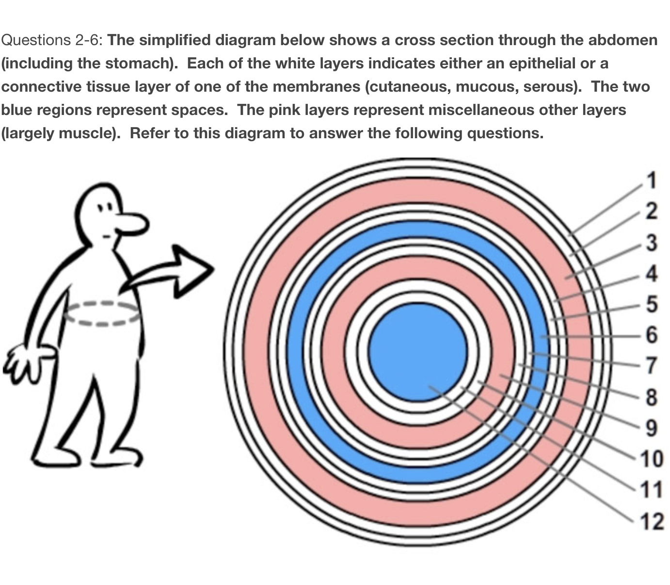If you were a tiny person walking along the deep | Chegg.com