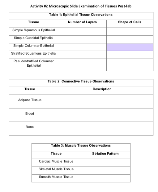 Solved: Activity #2: Tissues Microscopic Slide Examination... | Chegg.com