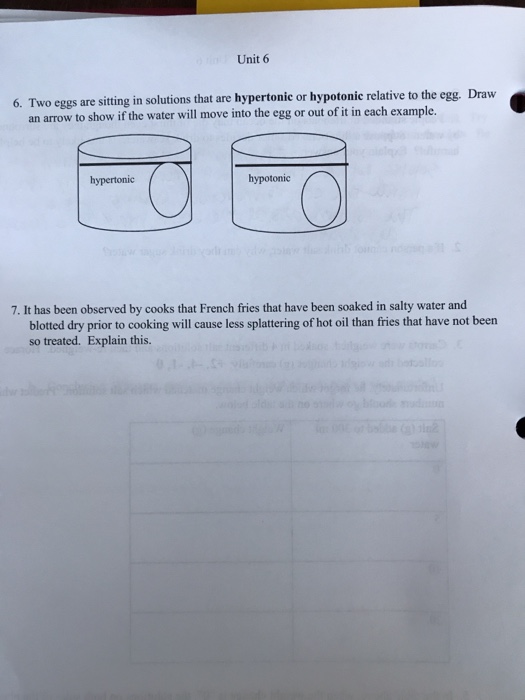 Solved Unit 6 6. Two eggs are sitting in solutions that are | Chegg.com