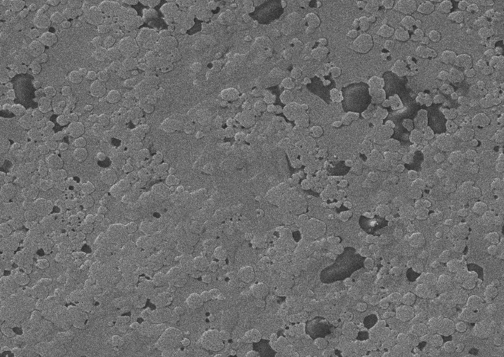 Use the online virtual SEM simulator to perform the | Chegg.com