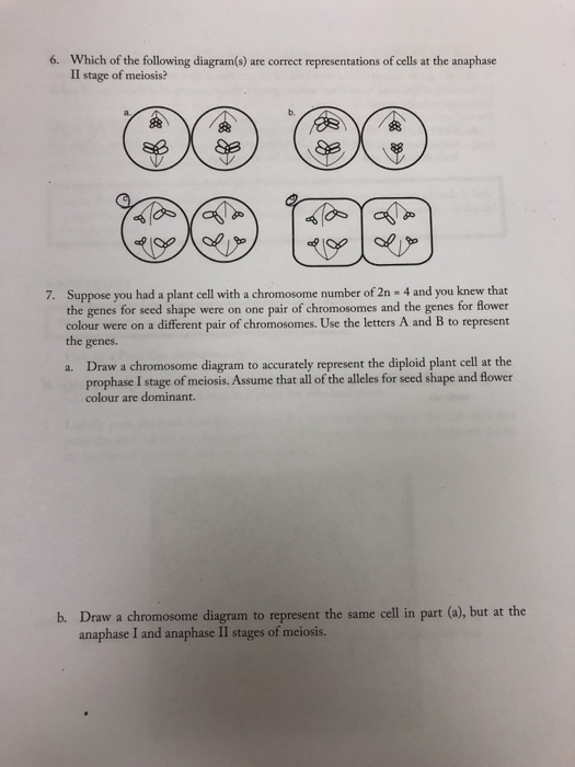 Solved 6. Which of the following diagram(s) are correct | Chegg.com