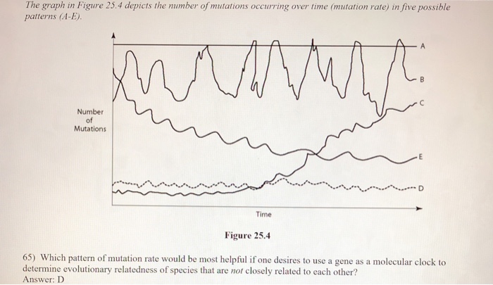 Solved The graph in Figure 25.4 depicts the mumber of | Chegg.com