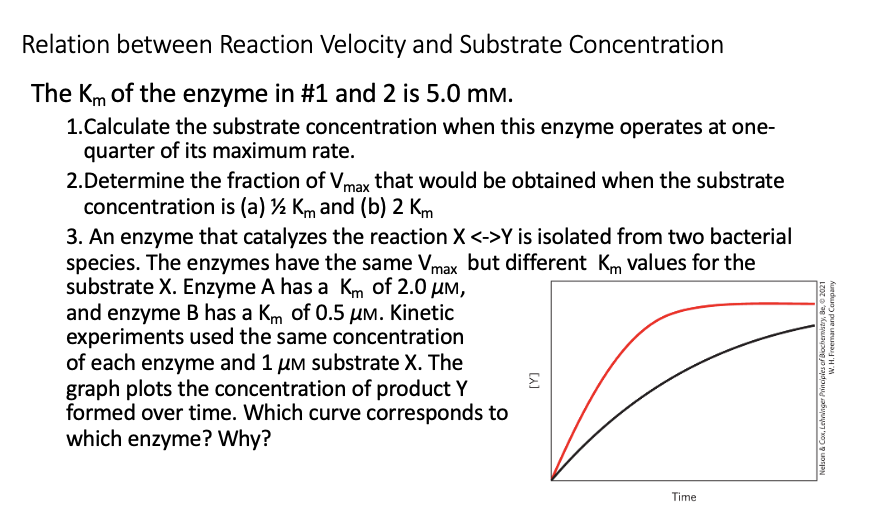 Solved elation between Reaction Velocity and Substrate | Chegg.com