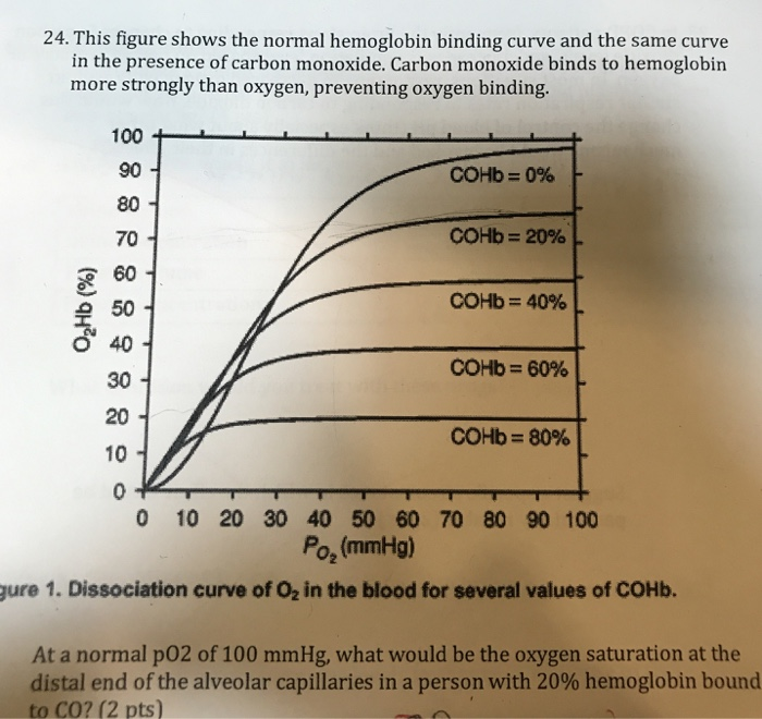 Solved 24. This figure shows the normal hemoglobin binding | Chegg.com