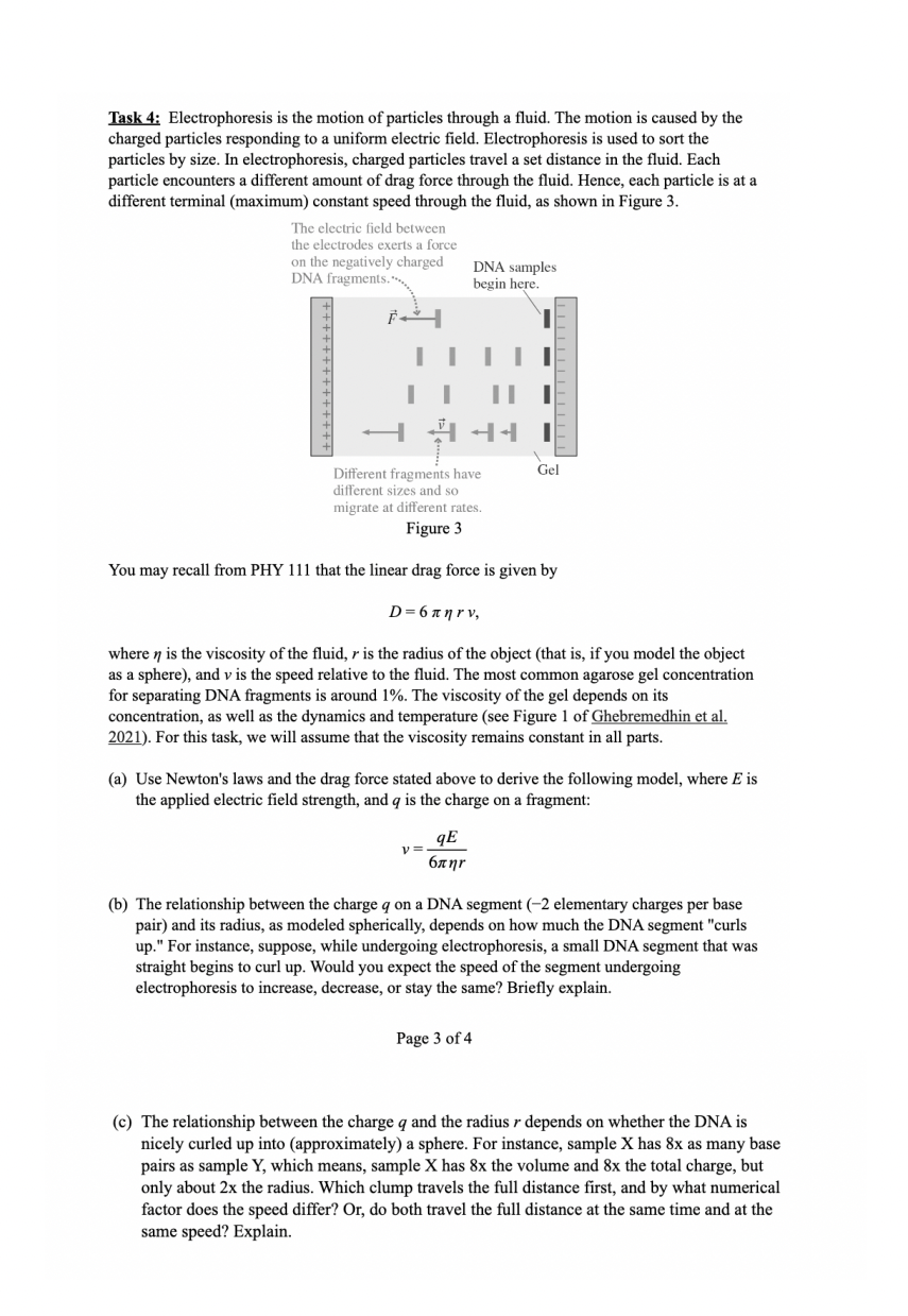 Solved Task 4: Electrophoresis is the motion of particles | Chegg.com