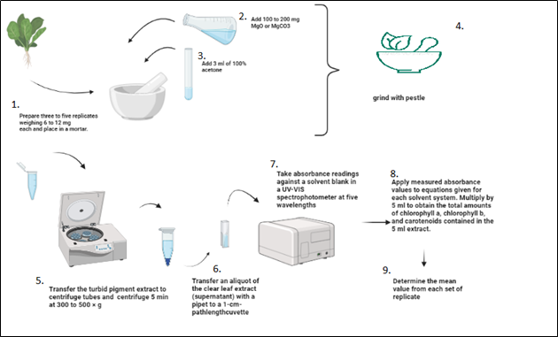 Solved Detective experience in Extraction and Quantification | Chegg.com