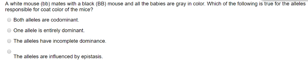 Solved A white mouse (bb) mates with a black (BB) mouse and | Chegg.com