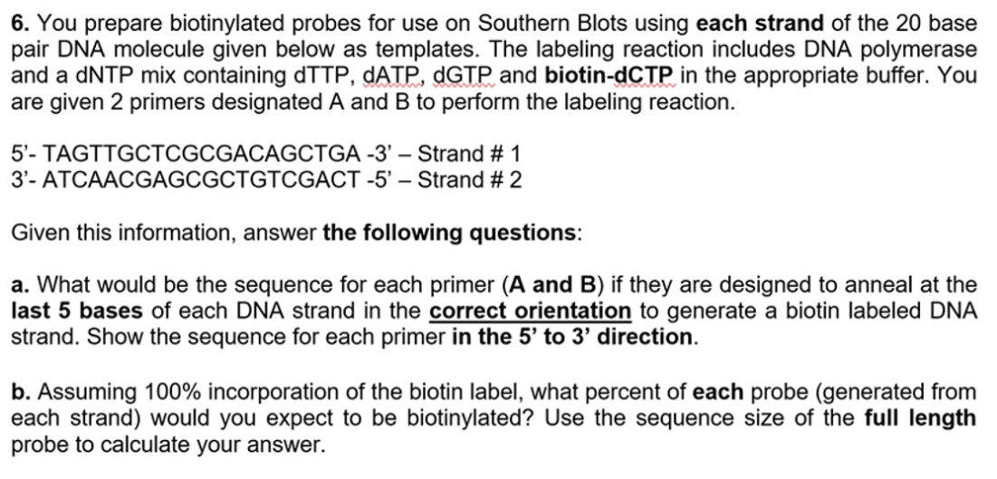 Solved 6. You prepare biotinylated probes for use on | Chegg.com