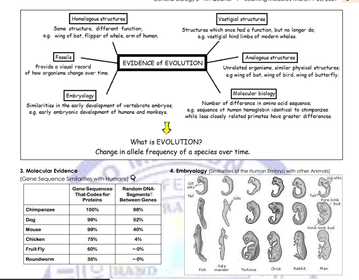 Solved Activity 7.5: Evidences of Evolution (page 6) | Chegg.com