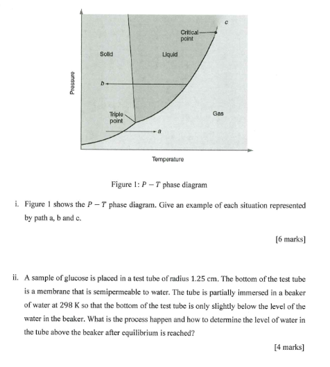 Solved Critical point Solid Liquid Pressure Gas Triplo point | Chegg.com