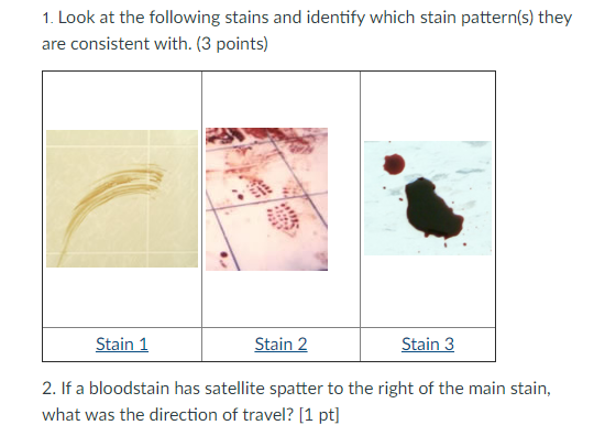 Solved 1. Look at the following stains and identify which | Chegg.com