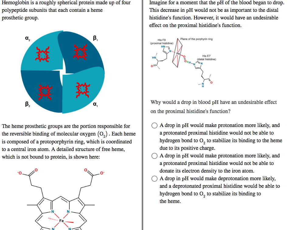 Solved Hemoglobin is a roughly spherical protein made up of | Chegg.com