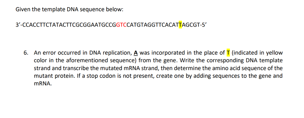 Solved Given the template DNA sequence below: | Chegg.com