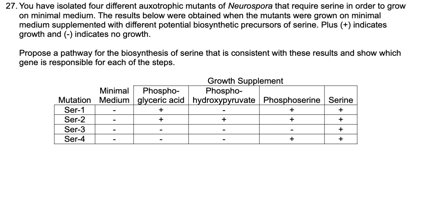 Solved 27. ﻿You have isolated four different auxotrophic | Chegg.com