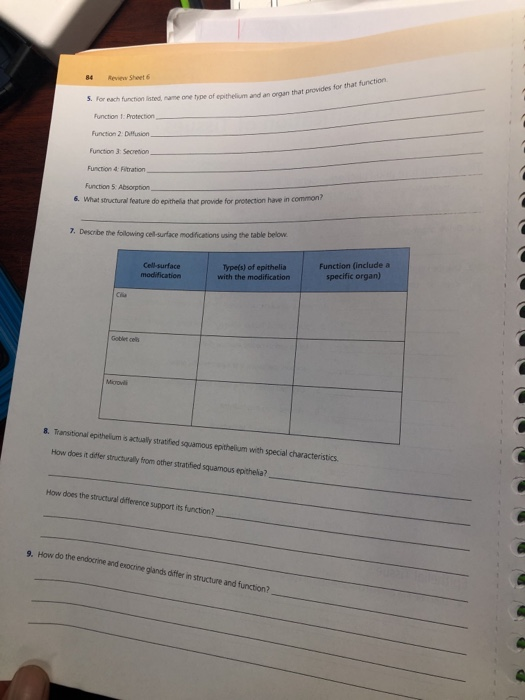 Solved Instructors may assign a portion of the Review Sheet | Chegg.com
