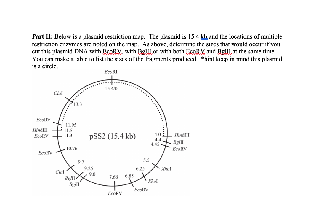 Solved Part II: Below is a plasmid restriction map. The | Chegg.com