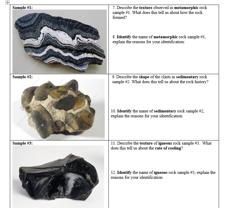 Solved Sample #1: 7. Describe the texture observed in | Chegg.com