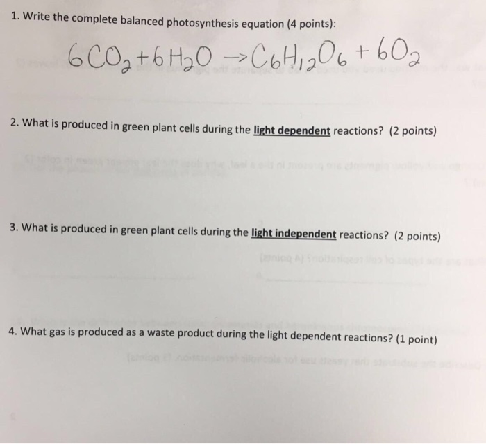 Equation Light Dependent Reaction Photosynthesis - Tessshebaylo Equation Light Dependent Reaction Photosynthesis - Tessshebaylo