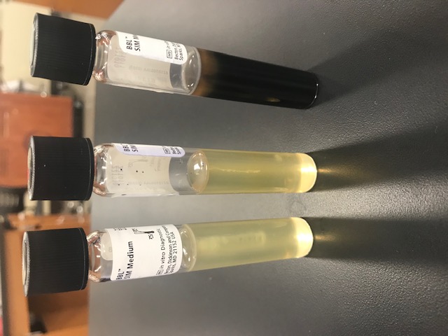 Solved QC testing on the new shipment of | Chegg.com