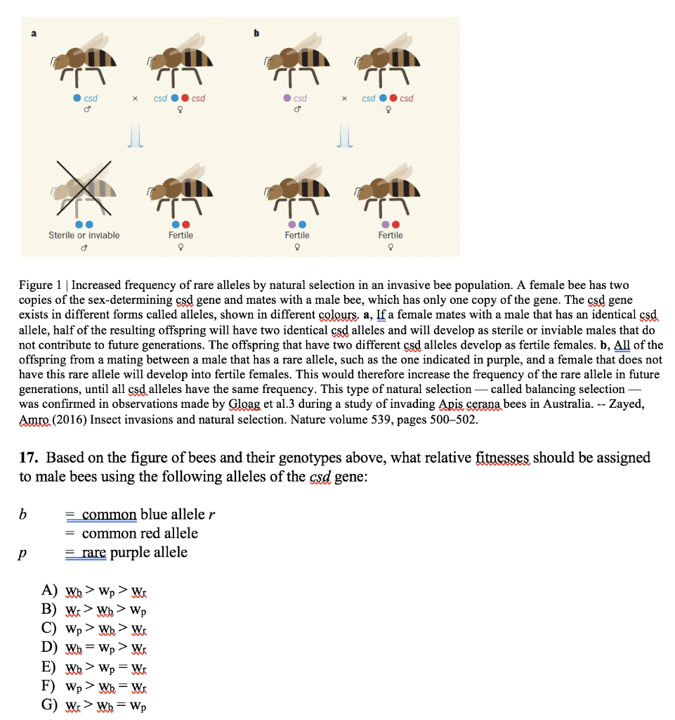 Solved (Tา Tา Tา X csdcsd csd csd o X csdcsd 오 . Fertile | Chegg.com