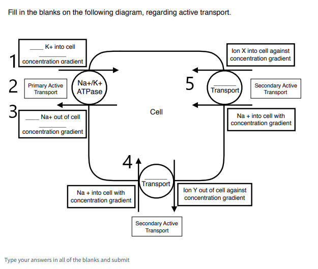 Solved Fill in the blanks on the following diagram, | Chegg.com
