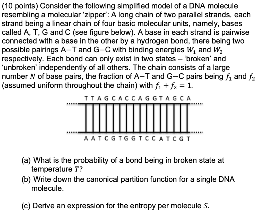 Solved (10 points) Consider the following simplified model | Chegg.com
