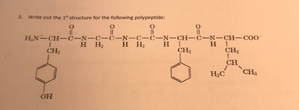 Solved 3. Write out the 1° structure for the following | Chegg.com