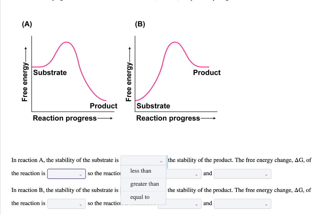 Solved (A) (B) Substrate Product Free energy- Free energy- | Chegg.com