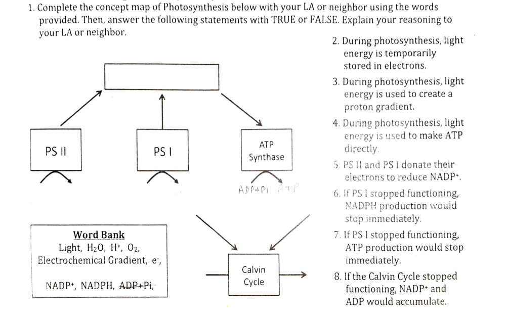 Solved 1. Complete the concept map of Photosynthesis below | Chegg.com