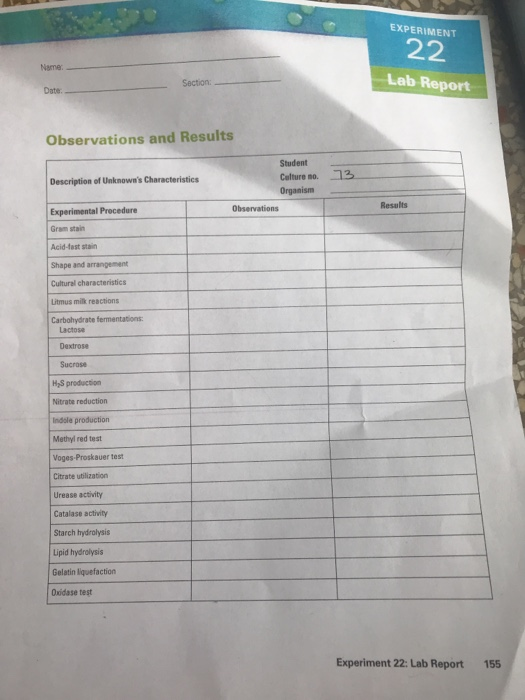EXPERIMENT Name Section Lab Report Date. Observations | Chegg.com