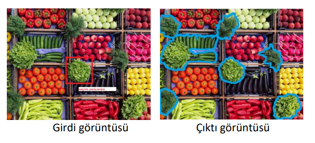 How do you develop an image processing method to find | Chegg.com