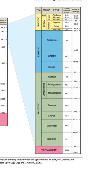 Solved Using the expansion of the geologic time scale on | Chegg.com