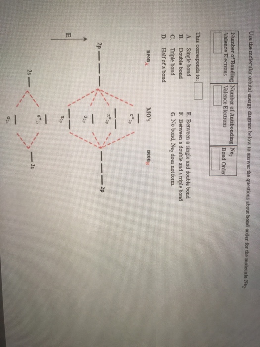 Solved For the diagram below, label each molecular orbital | Chegg.com