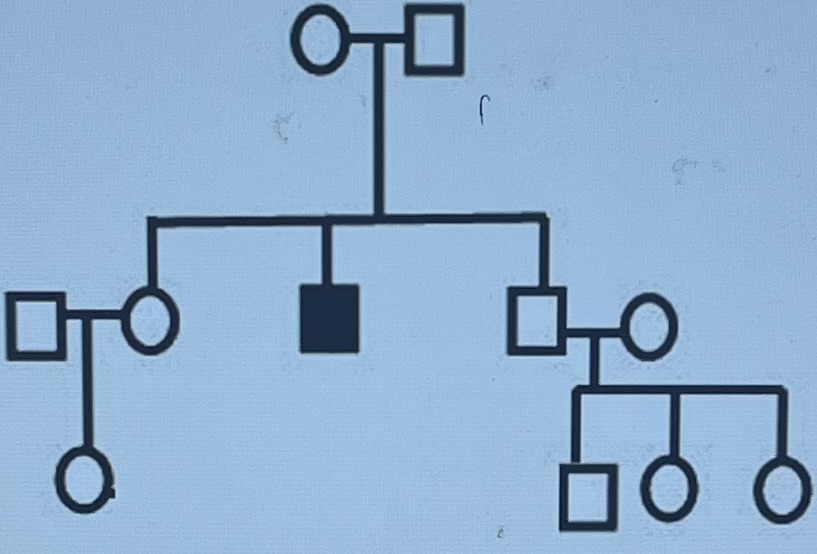 [Solved]: The pedigree illustrates a rare recessive trait ca