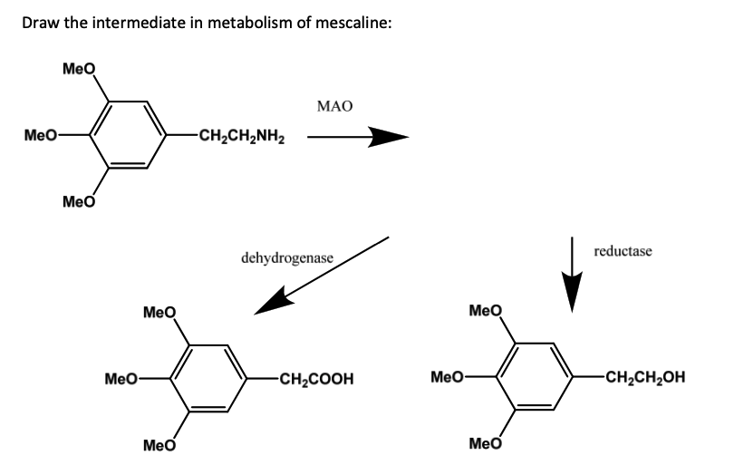 Solved Draw the intermediate in metabolism of mescaline: Meo | Chegg.com