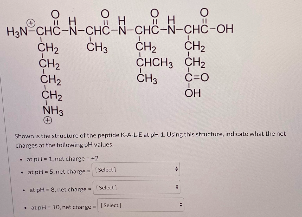 Solved 1. starting with a sample of K-A-L-E where the pH =PI | Chegg.com