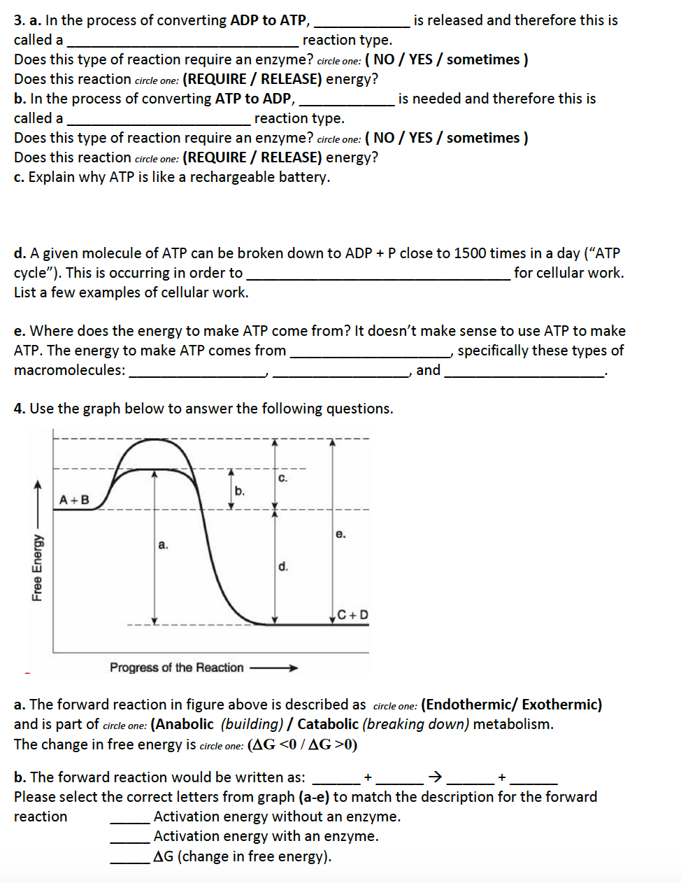 Solved 3. a. In the process of converting ADP to ATP, is | Chegg.com