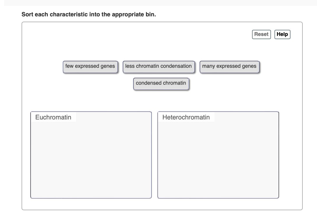 Solved Sort each characteristic into the appropriate | Chegg.com Solved Sort each characteristic into the appropriate | Chegg.com