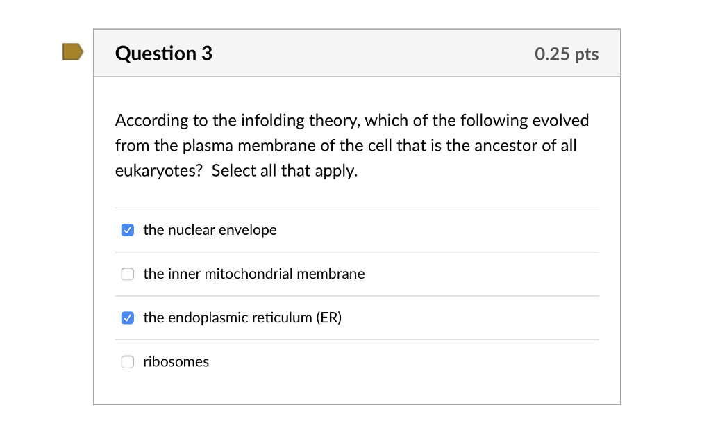 Solved Question 3 0.25 pts According to the infolding | Chegg.com