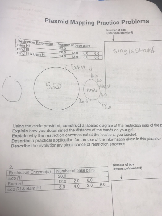 Solved Plasmid Mapping Practice Problems Number of bps | Chegg.com