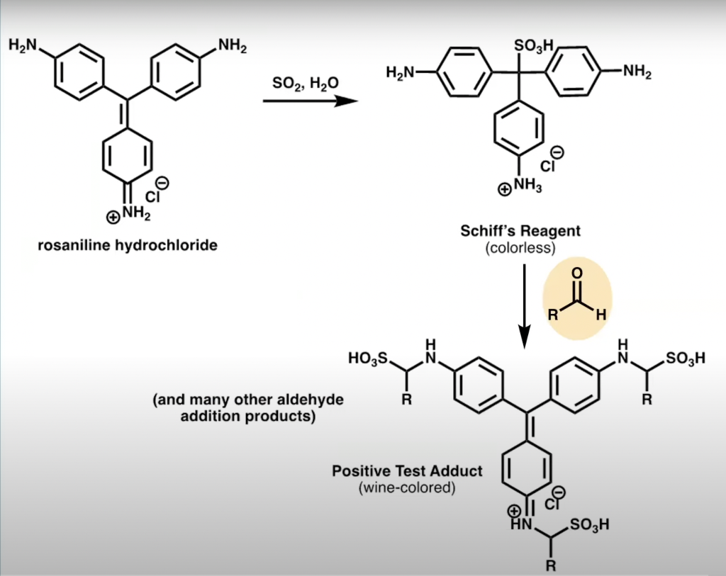 Please show the full mechanism for this reaction. And | Chegg.com