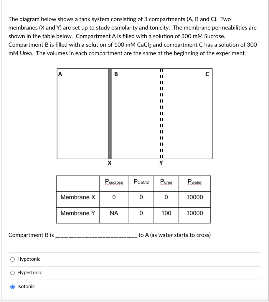 Solved The diagram below shows a tank system consisting of 3 | Chegg.com