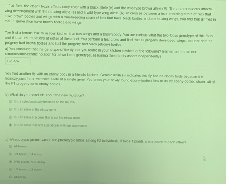 Solved In fruit flies, the ebony locus affects body color | Chegg.com