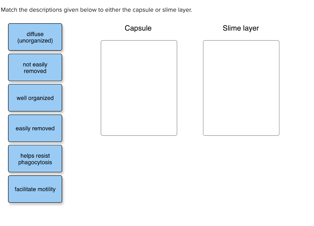 Solved Match the descriptions given below to either the | Chegg.com