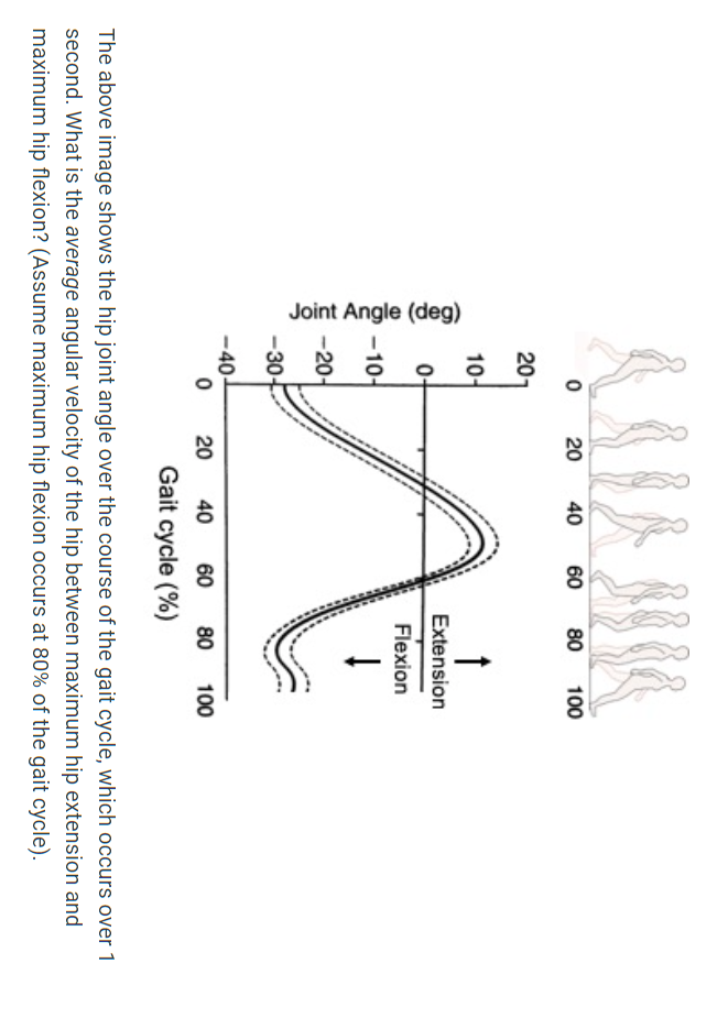 The above image shows the hip joint angle over the | Chegg.com