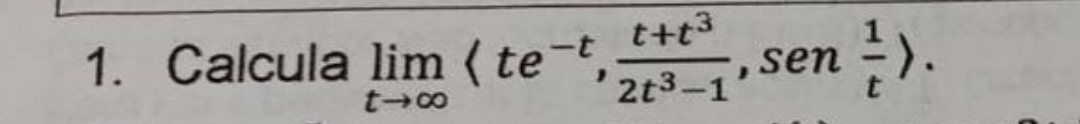 Solved 1. Calcula limt→∞ te−t,2t3−1t+t3,sent1 . | Chegg.com