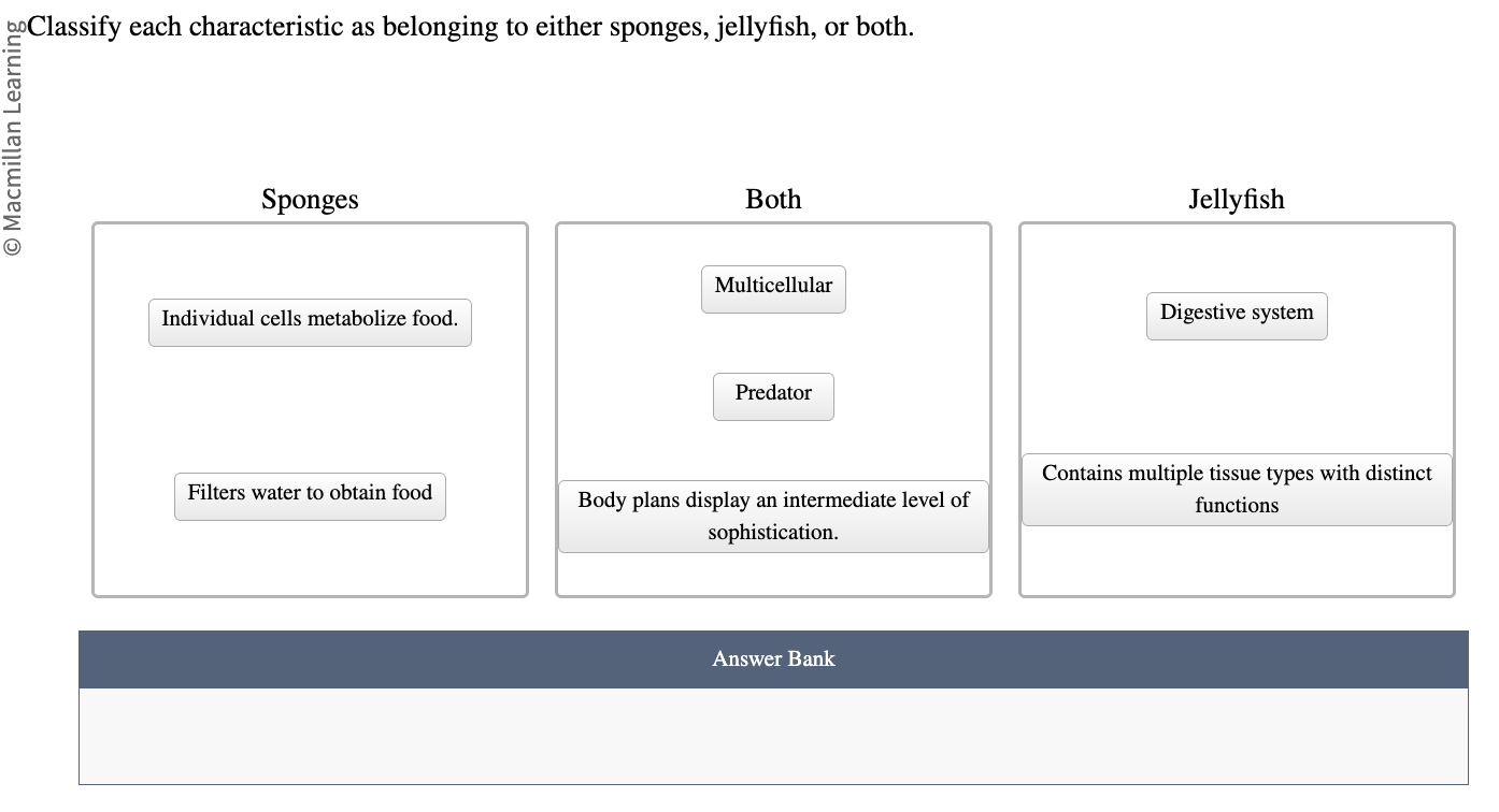 Solved \( { }_{c}^{00} \) ﻿Classify each characteristic as | Chegg.com